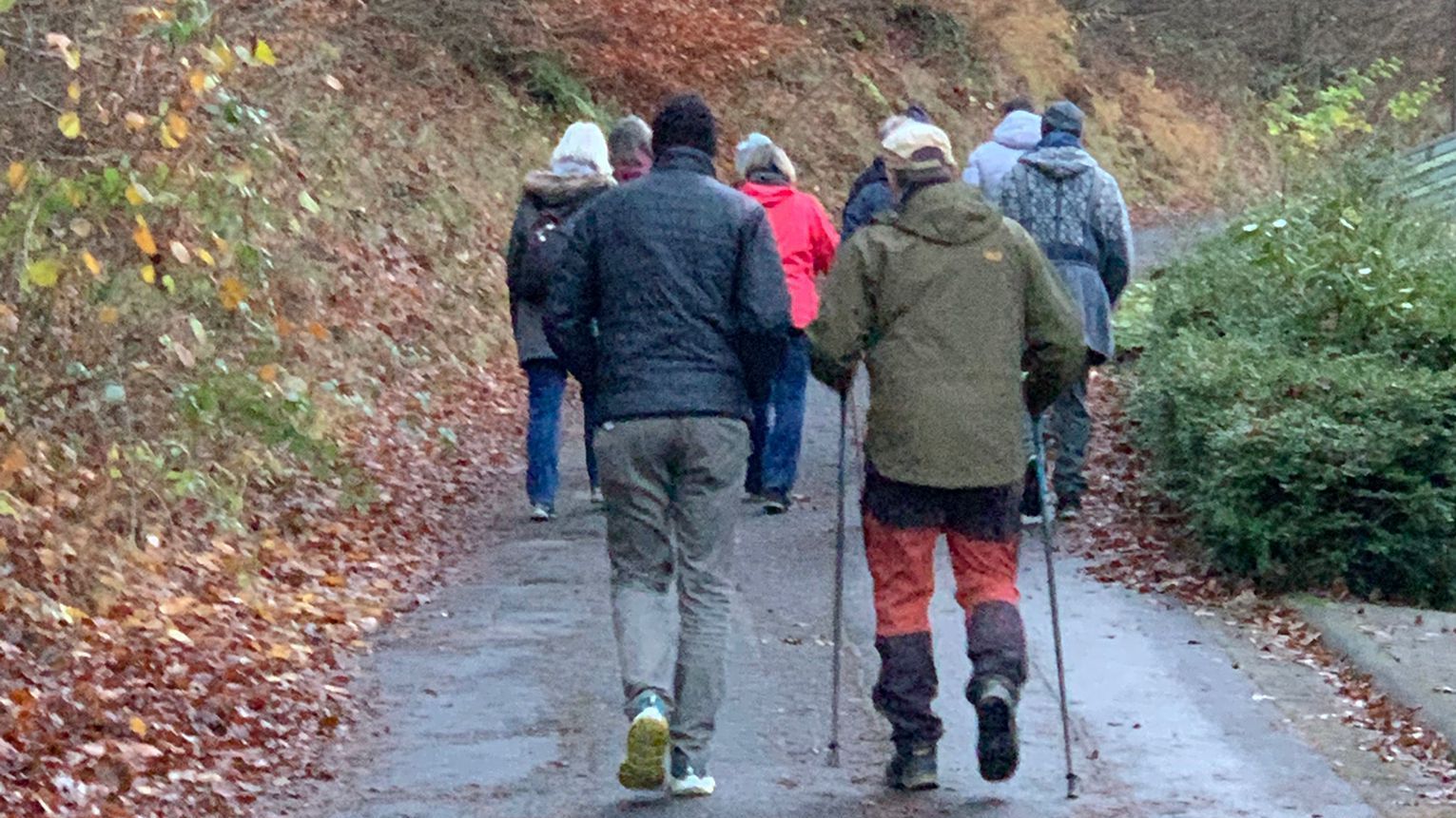 Winterwanderung zum Jahresabschluss - BUND Naturschutz in Bayern e.V.